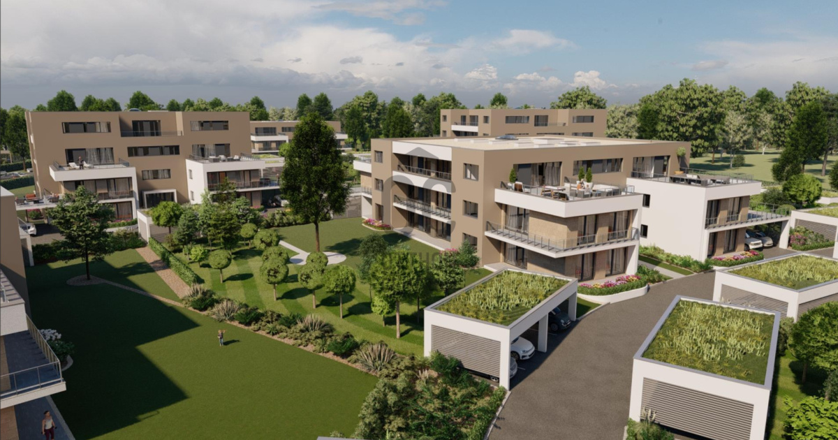 Lake on the Forrest II.